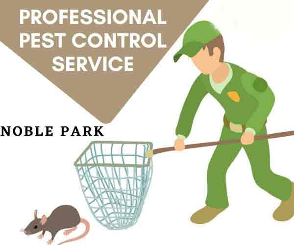 Pest Control Noble Park | Non-Toxic & Quality Pest Eradication Service